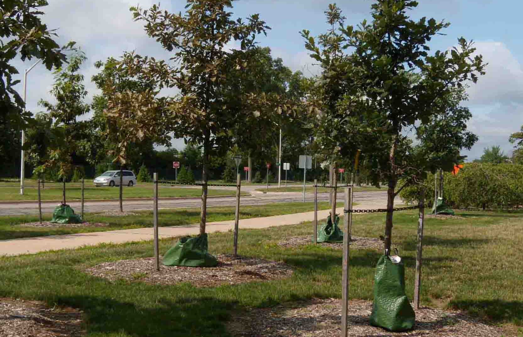 Reading Branches Out – The Reading Post