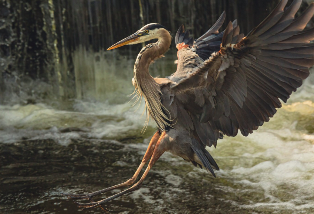 Local Artists Showcased in Exhibition – The Reading Post