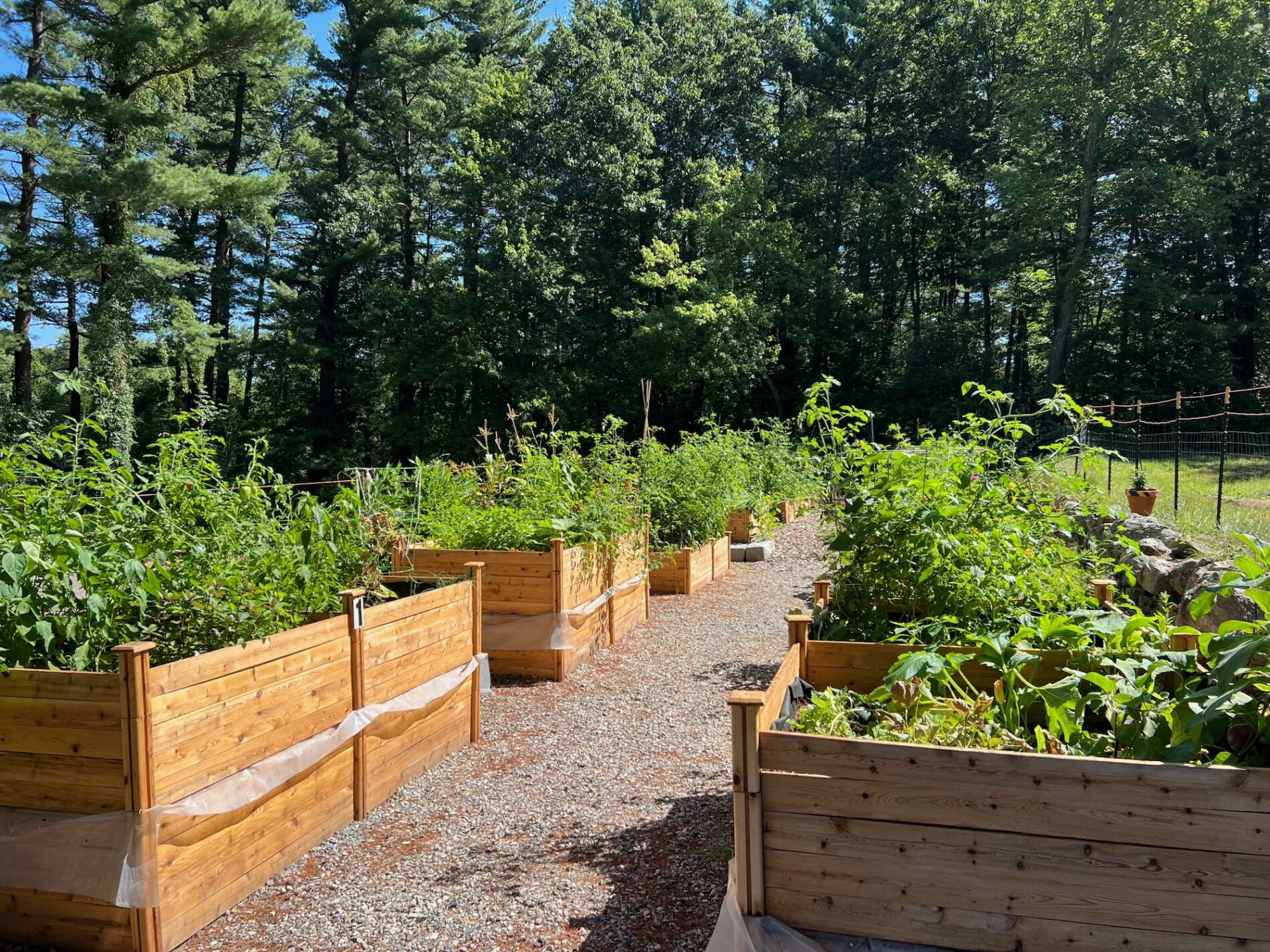 Reading Rotary Club Donates $6,000 to Support Community Garden ...