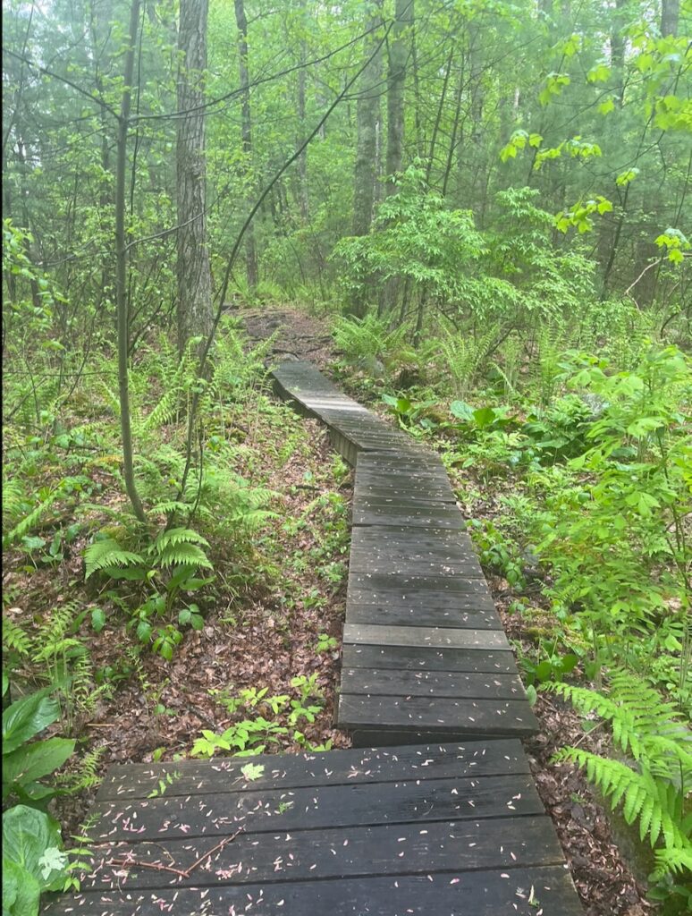 Mace Completes Eagle Scout Service Project – The Reading Post Mace Completes Eagle Scout Service Project – The Reading Post